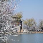Private Forbidden City and Tiananmen with Summer Palace Tour - Authentic Experiences and Customer Feedback