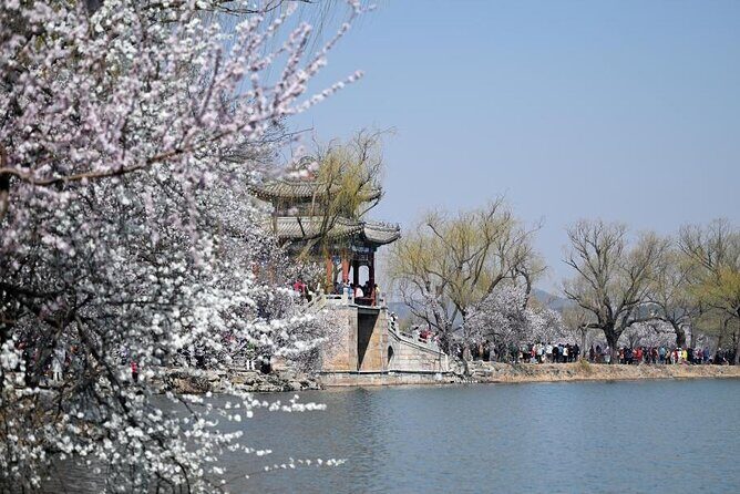 Private Forbidden City and Tiananmen with Summer Palace Tour - Authentic Experiences and Customer Feedback