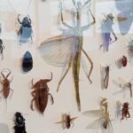 Private Full Day Darwin City Tour with Lunch and Pickup - FAQ