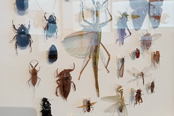 Private Full Day Darwin City Tour with Lunch and Pickup - FAQ