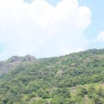 Private Full day Nandi Hill Excursion with Lunch - The Cultural and Natural Delights