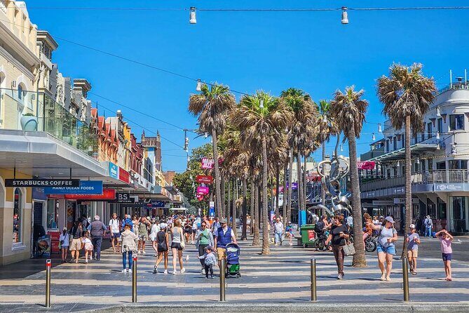 Private Full-Day Sydney Highlights with Bondi Beach Tour - How the Tour Works for Travelers