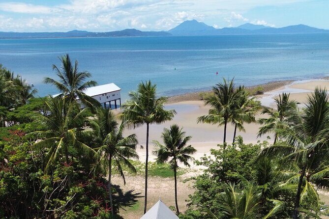Private Guided Tour in Port Douglas and Surrounds - Whats the Itinerary Like?