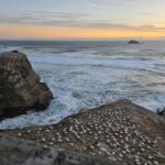 [PRIVATE] Haka to Wine West Coast Journey - Mori Culture: The Power of the Haka