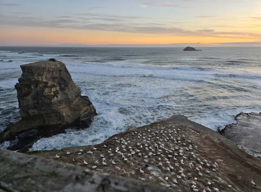 [PRIVATE] Haka to Wine West Coast Journey - Mori Culture: The Power of the Haka