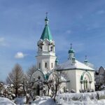 Private Hakodate Night Illumination Tour - Who Should Consider This Tour?