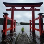 Private Hakone Full-day Car Tour with Hotel Pickup - Local Guide - Who Would This Tour Suit Best?