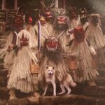 Private Half Day Akita Namahage Tour with Licensed Guide - Authentic Insights & Real Traveler Feedback