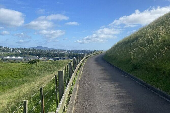 Private Half-Day Volcano Tour from Auckland - Who Would Love This Tour?