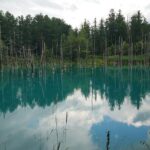 Private Hokkaido Guided 5 Day Tour with Transportation - Transportation and Timing