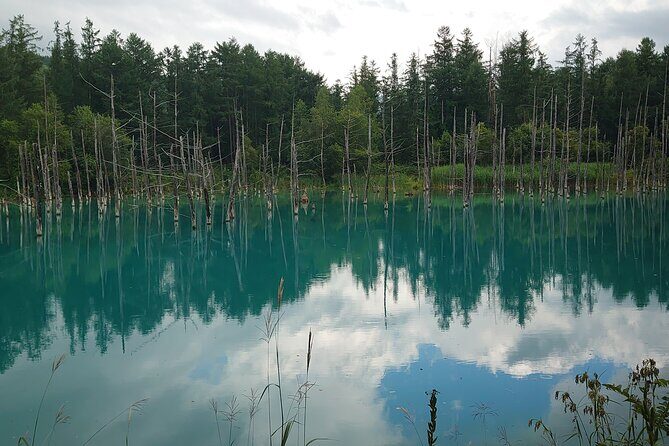 Private Hokkaido Guided 5 Day Tour with Transportation - Transportation and Timing