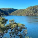 Private Koala Park Sanctuary Minivan Tour Sydney - The Value of This Tour