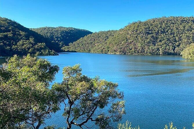 Private Koala Park Sanctuary Minivan Tour Sydney - The Value of This Tour