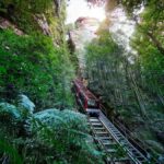 PRIVATE LUXURY BLUE MOUNTAINS ADVENTURE | FROM SYDNEY - What Sets This Tour Apart?