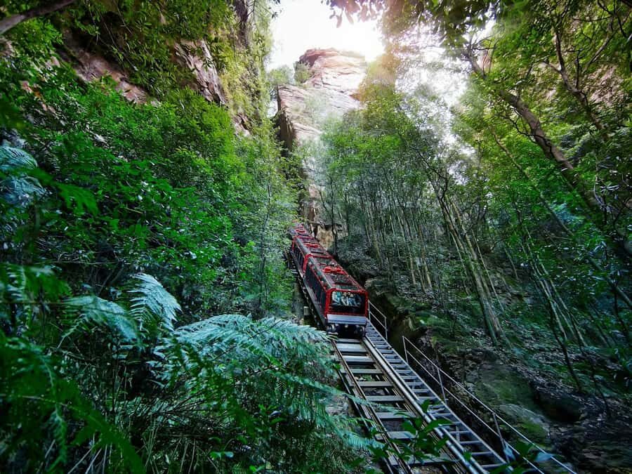 PRIVATE LUXURY BLUE MOUNTAINS ADVENTURE | FROM SYDNEY - What Sets This Tour Apart?