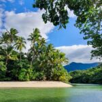 Private Luxury Daintree Dream Tour All Inclusive - Key Points