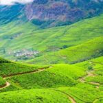 "Private Munnar Day Tour: Trekking & Scenic Highlights" - What Makes This Tour Stand Out?