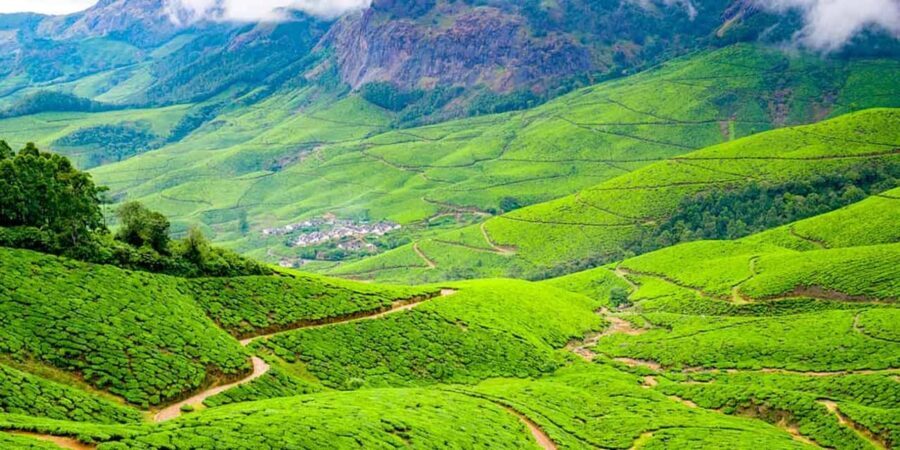 "Private Munnar Day Tour: Trekking & Scenic Highlights" - What Makes This Tour Stand Out?