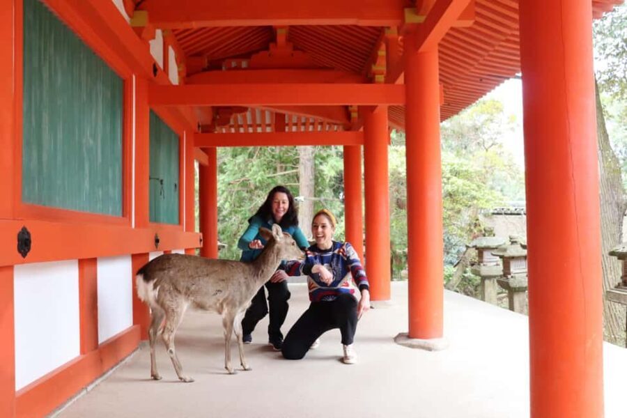 Private Nara Tour & Sake Tasting (Departing from Kyoto/Nara) - Frequently Asked Questions