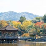 Private Nara Tour: Temples, Deer, and Photo Spots - Midday: Savor Local Flavors