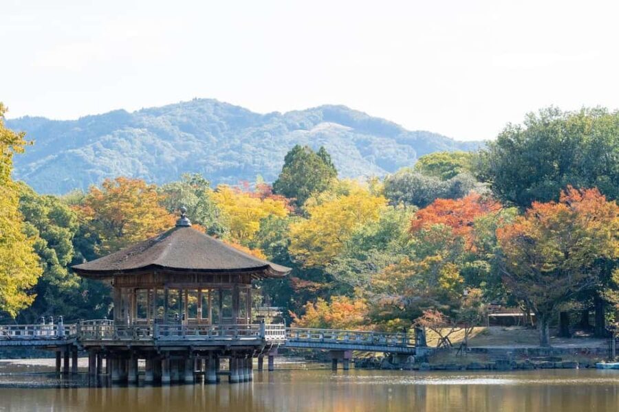 Private Nara Tour: Temples, Deer, and Photo Spots - Midday: Savor Local Flavors