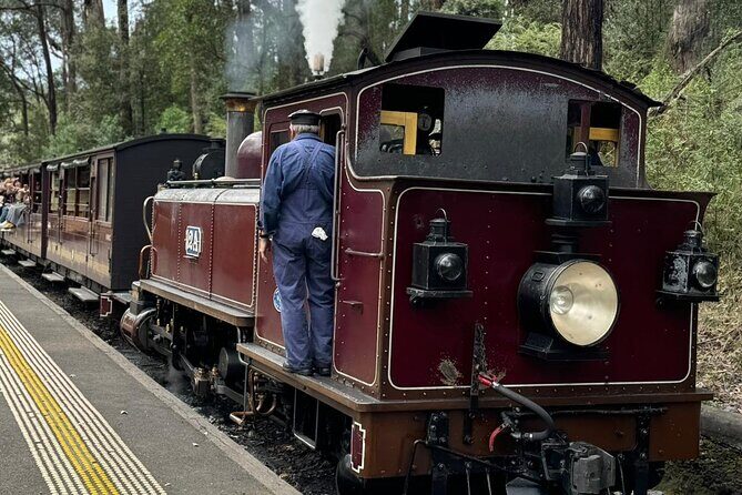 Private Puffing Billy Steam Train and Healesville Sanctuary Tours - A Deeper Look at the Itinerary
