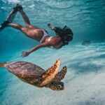Private Rarotonga Turtle Tour - An In-Depth Look at the Private Rarotonga Turtle Tour
