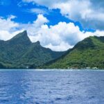 Private Sea Adventure in Moorea: A Day of Fishing Like a Local - Final Thoughts