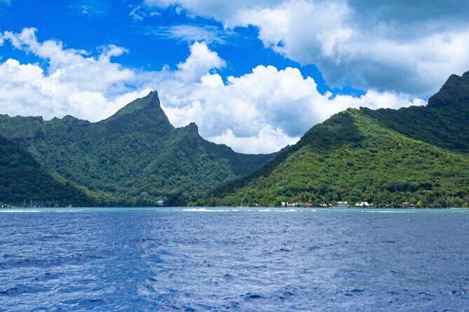 Private Sea Adventure in Moorea: A Day of Fishing Like a Local - Final Thoughts