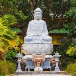 Private Shore Tour of Hoi An Ancient Town from Tien Sa Port - Practical Insights and Value