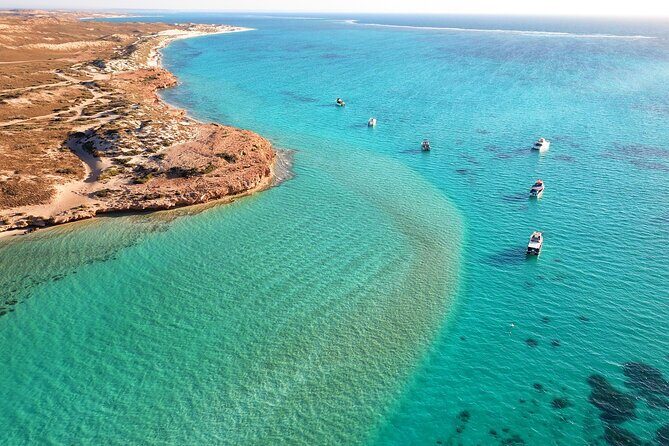 Private Shore Tour: Scenic Flight Over Ningaloo Reef & Transfer - Practical Details and Considerations