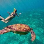 Private Snorkeling Start Gili Meno and Explore 4 Spots with GoPro - The Experience and What It Means for You