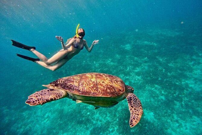 Private Snorkeling Start Gili Meno and Explore 4 Spots with GoPro - The Experience and What It Means for You
