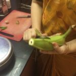 Private South Indian Tamil Cooking Class in Chennai with Srividya - Who Will Love This Experience?