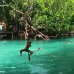 Private Swimming with Turtles/Sharks at Blue Lagoon and Waterfall - What Travelers Can Expect