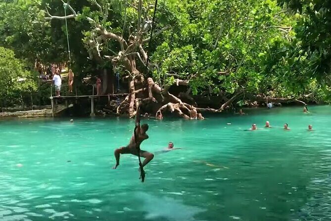 Private Swimming with Turtles/Sharks at Blue Lagoon and Waterfall - What Travelers Can Expect