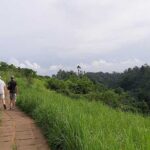 Private Tour: Campuhan Ridge Walk, Ubud Rice Terrace & Ubud Palace - Transportation and Logistics