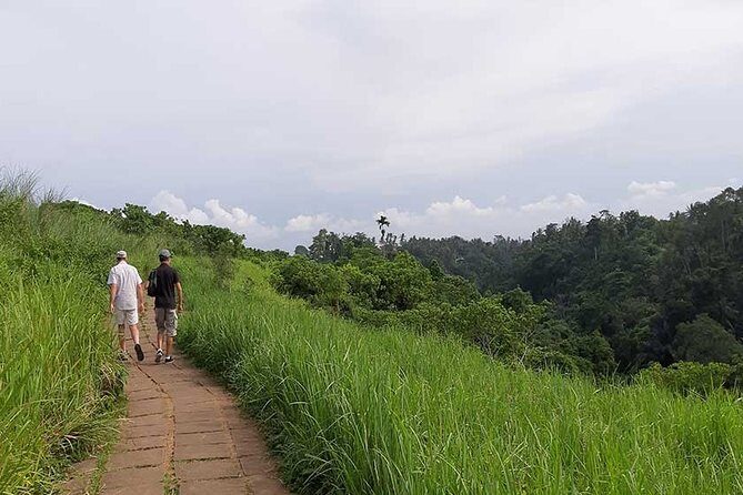 Private Tour: Campuhan Ridge Walk, Ubud Rice Terrace & Ubud Palace - Transportation and Logistics