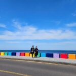 Private Tour in West Jeju Island with Transfer - Who Should Consider This Tour?