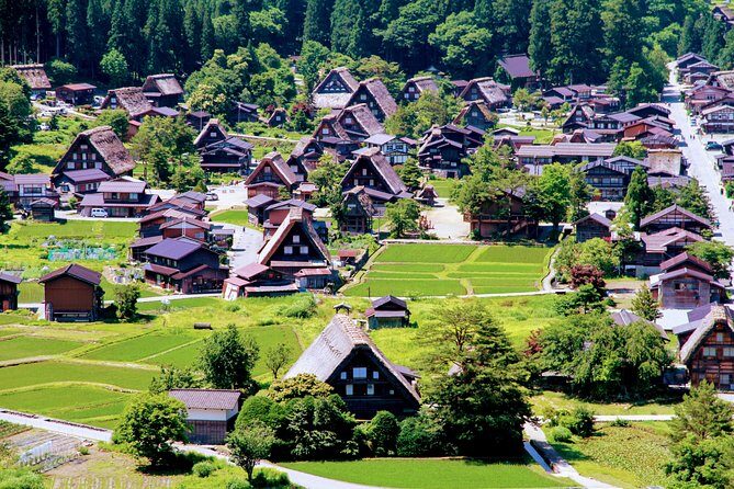 Private Tour of Shirakawago from Kanazawa (Half Day) - Analyzing Value and Practicality