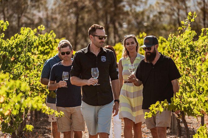Private Tour: Premium Swan Valley Wine Tour from Perth - The Value for Money