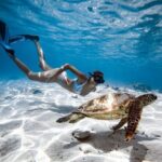 Private Turtle and Ray Tour Rarotonga - Analyzing the Cost and Value