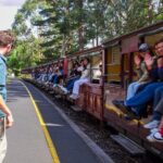 Puffing Billy, Forest Trails and Yarra Valley Discovery Tour - Transportation & Comfort