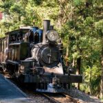 Puffing Billy, Healesville Sanctuary & Chocolatier - The Experience in Context