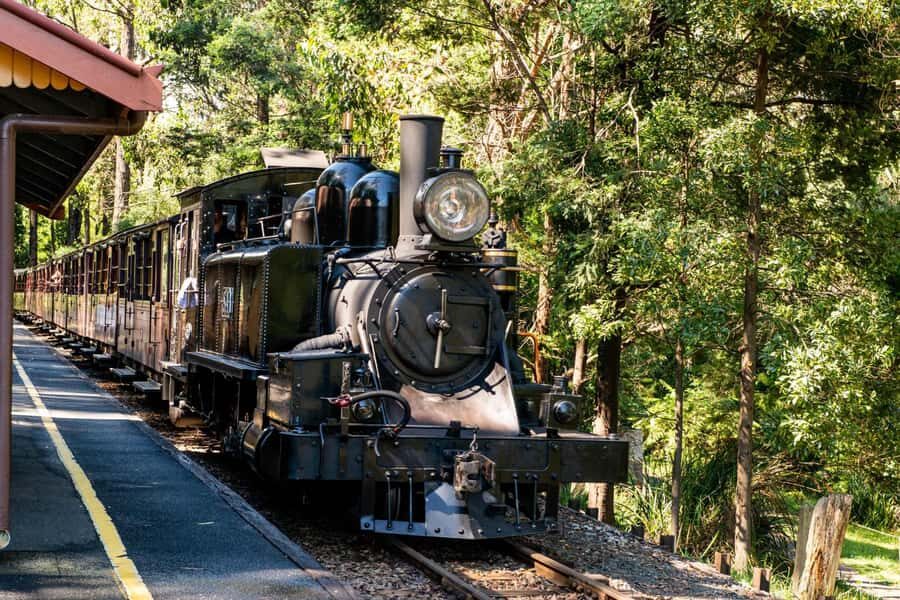 Puffing Billy, Healesville Sanctuary & Chocolatier - The Experience in Context