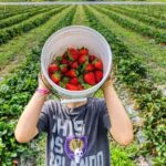 Pune: Day Trip to Mahabaleshwar, Wai, & Pachgani - Final Thoughts