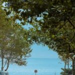 Qingdao: Badaguan Scenic Area Guided Walking Tour - What Makes This Tour Valuable?