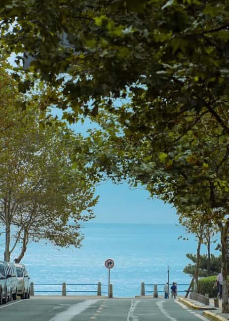 Qingdao: Badaguan Scenic Area Guided Walking Tour - What Makes This Tour Valuable?