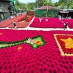 Quang Phu Cau Incense the Traditional Villages Group Tour - Practical Tips and Considerations