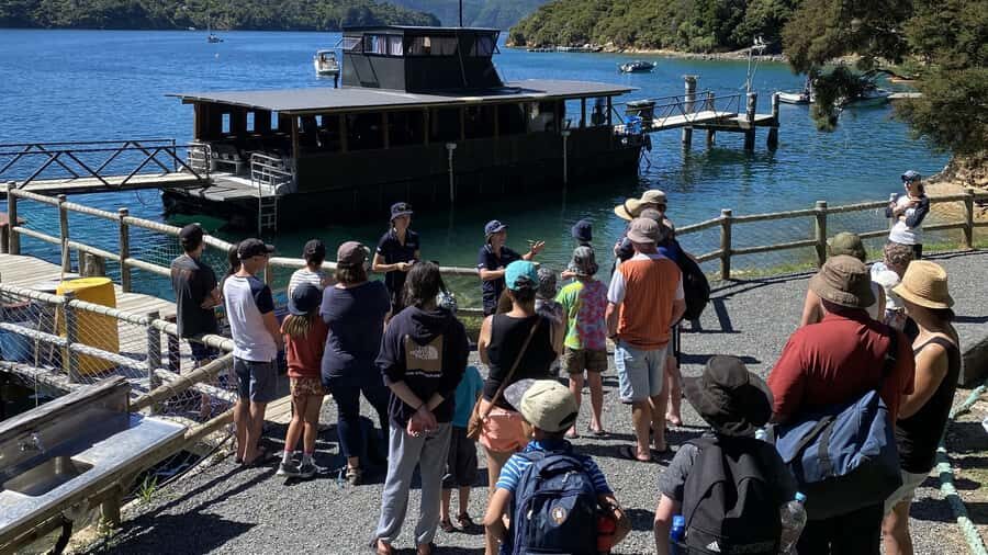 Queen Charlotte Sound: Lochmara Cruise and Explore 9-4 - Practical Considerations & Tips